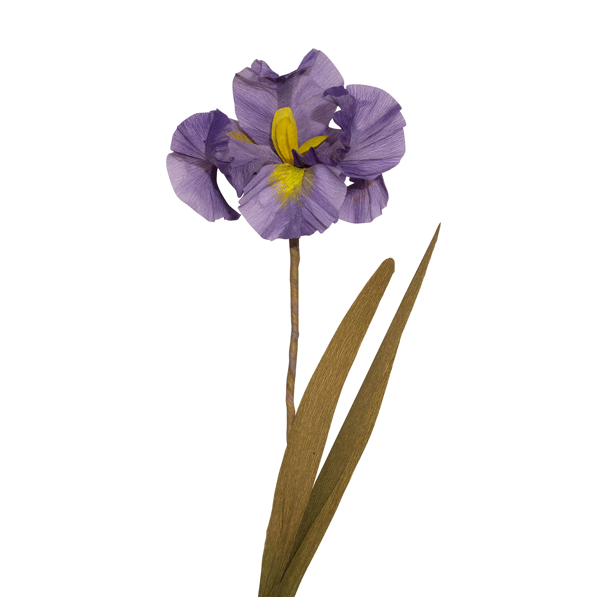 Iris Paper Flower – Dar Leone