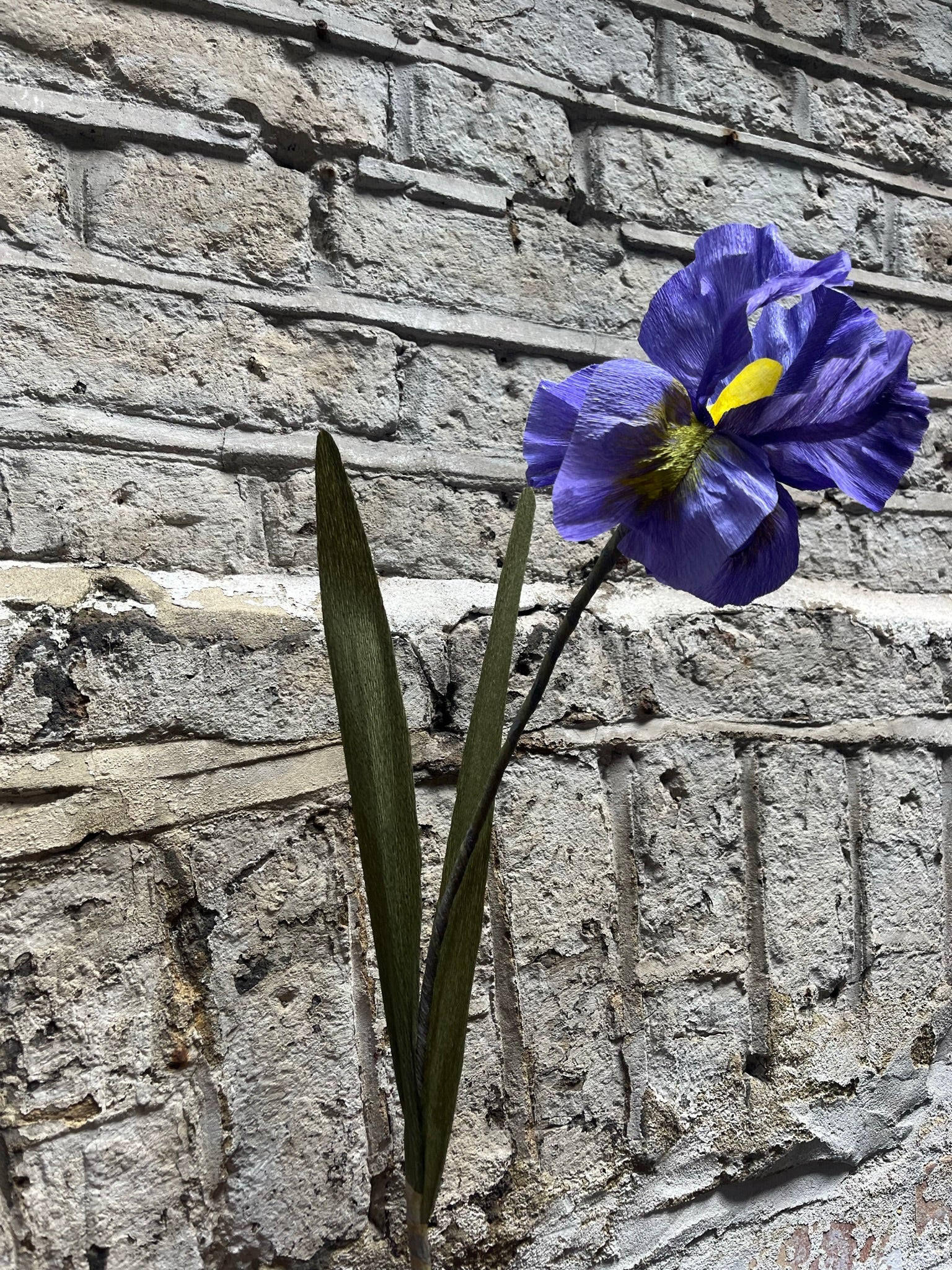 Iris Paper Flower – Dar Leone
